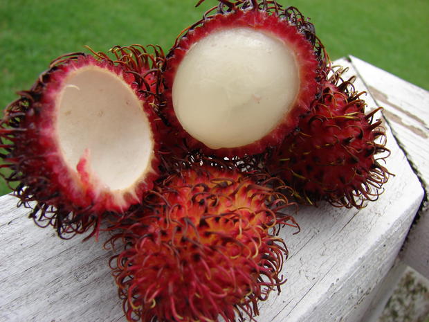 Mamon Fruit